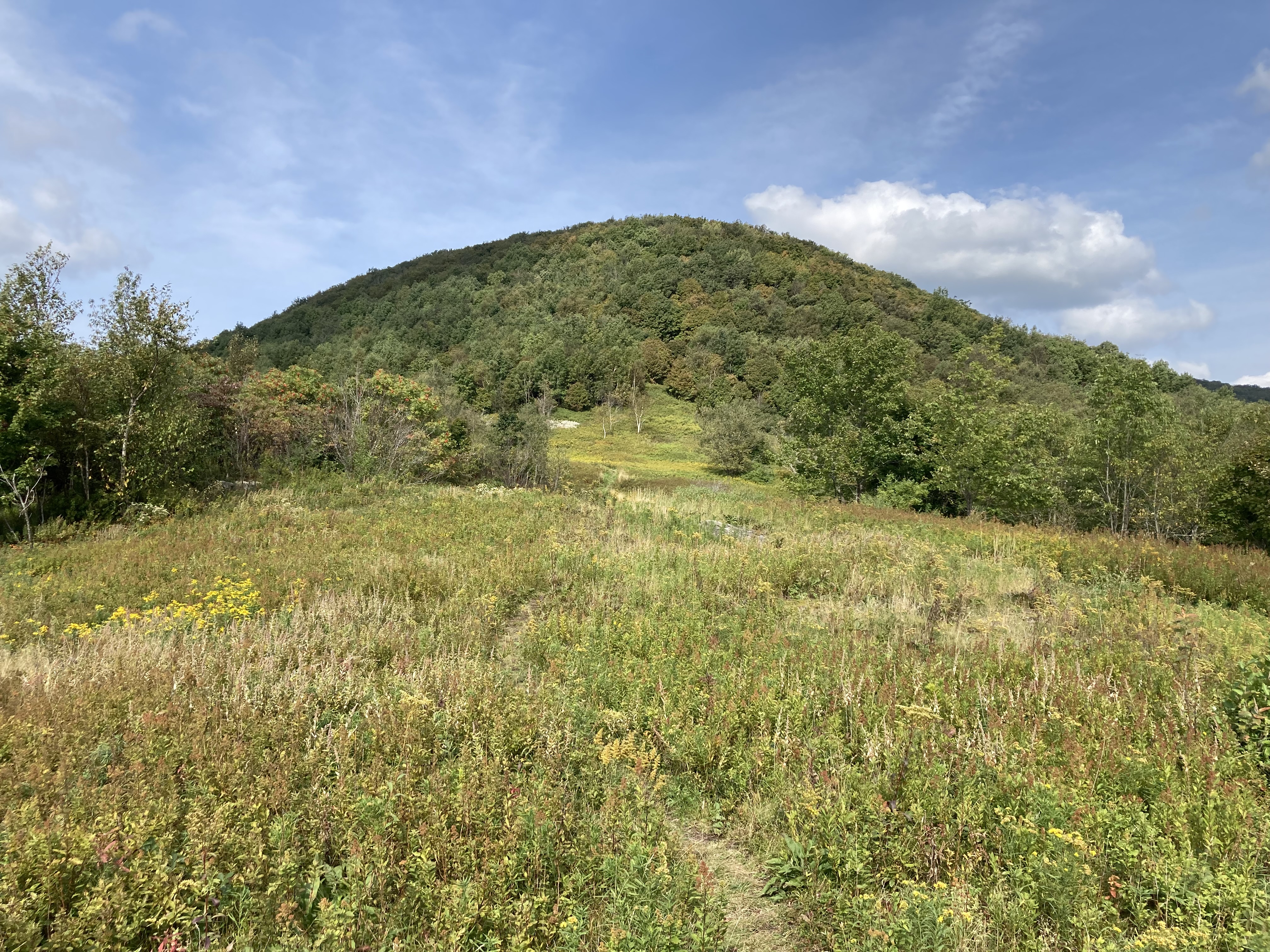 Saddle Ball Mountain – Hiking Massachusetts Peaks