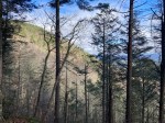 Mount Everett – Hiking Massachusetts Peaks