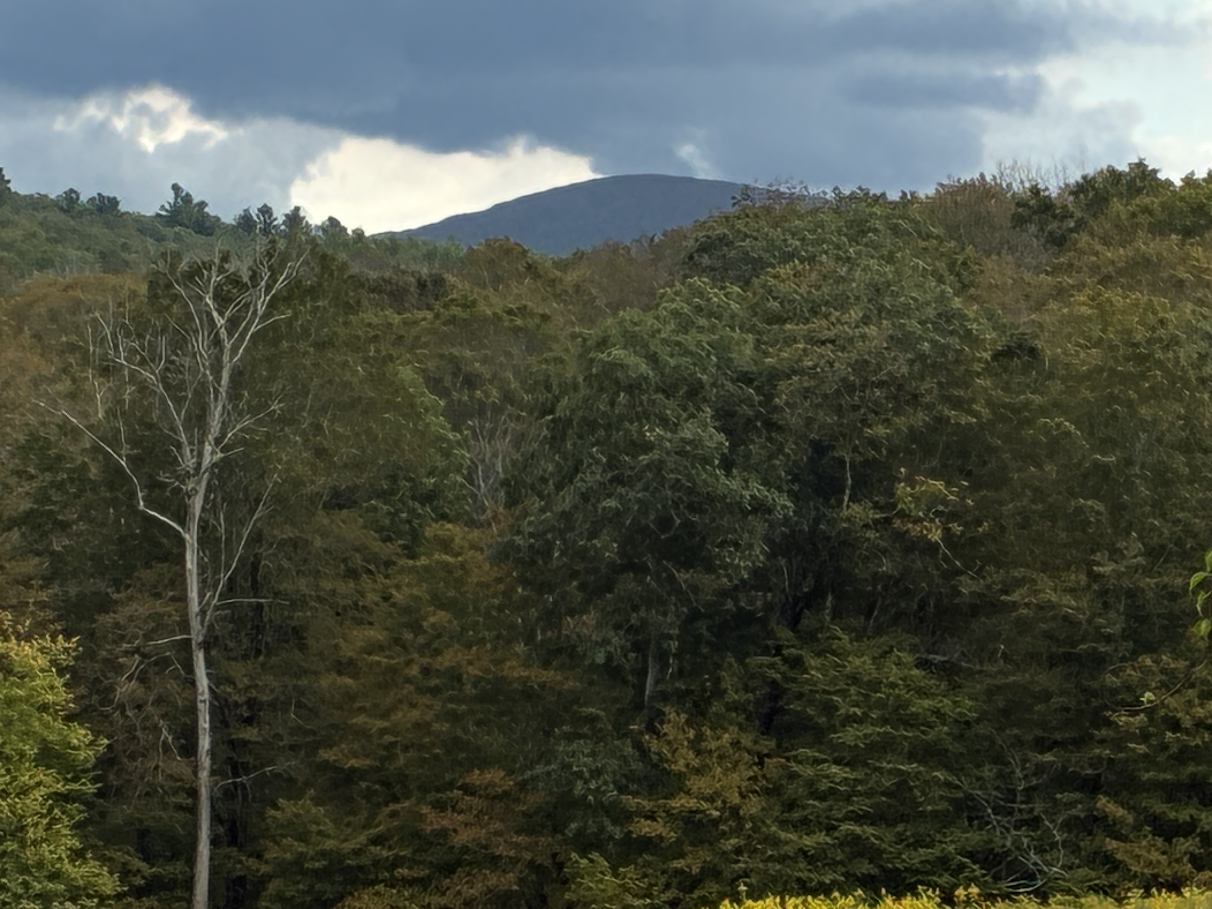 Mount Everett – Hiking Massachusetts Peaks