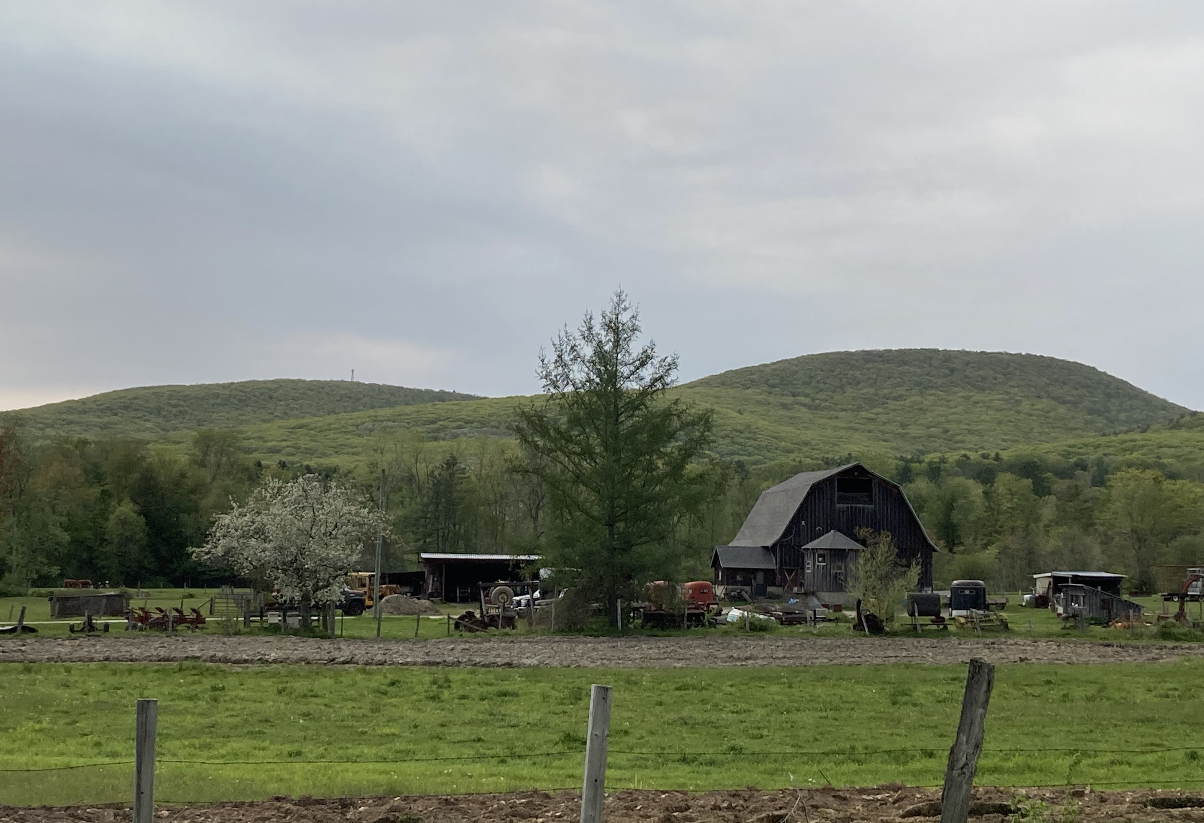 Berry Mountain – Hiking Massachusetts Peaks