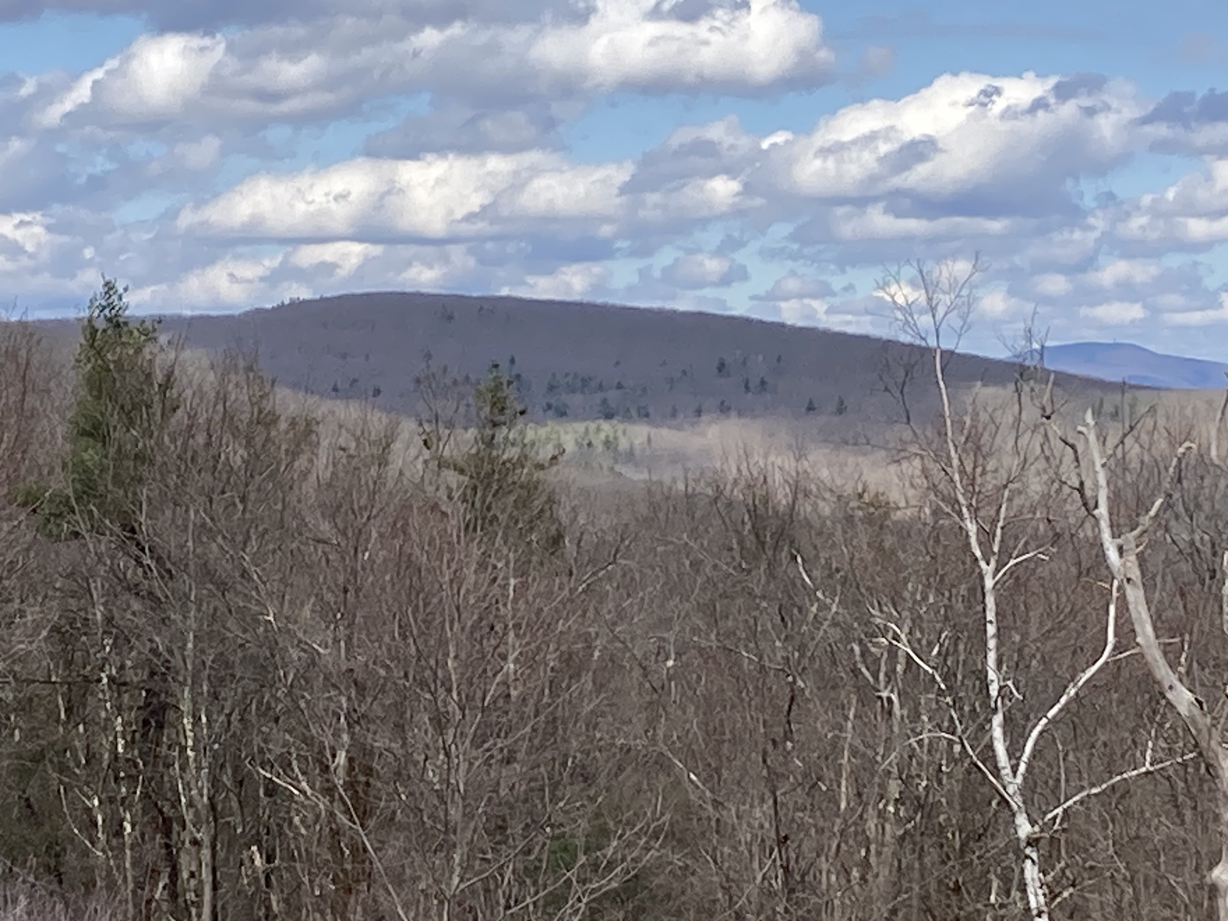 Pine Mountain – Hiking Massachusetts Peaks