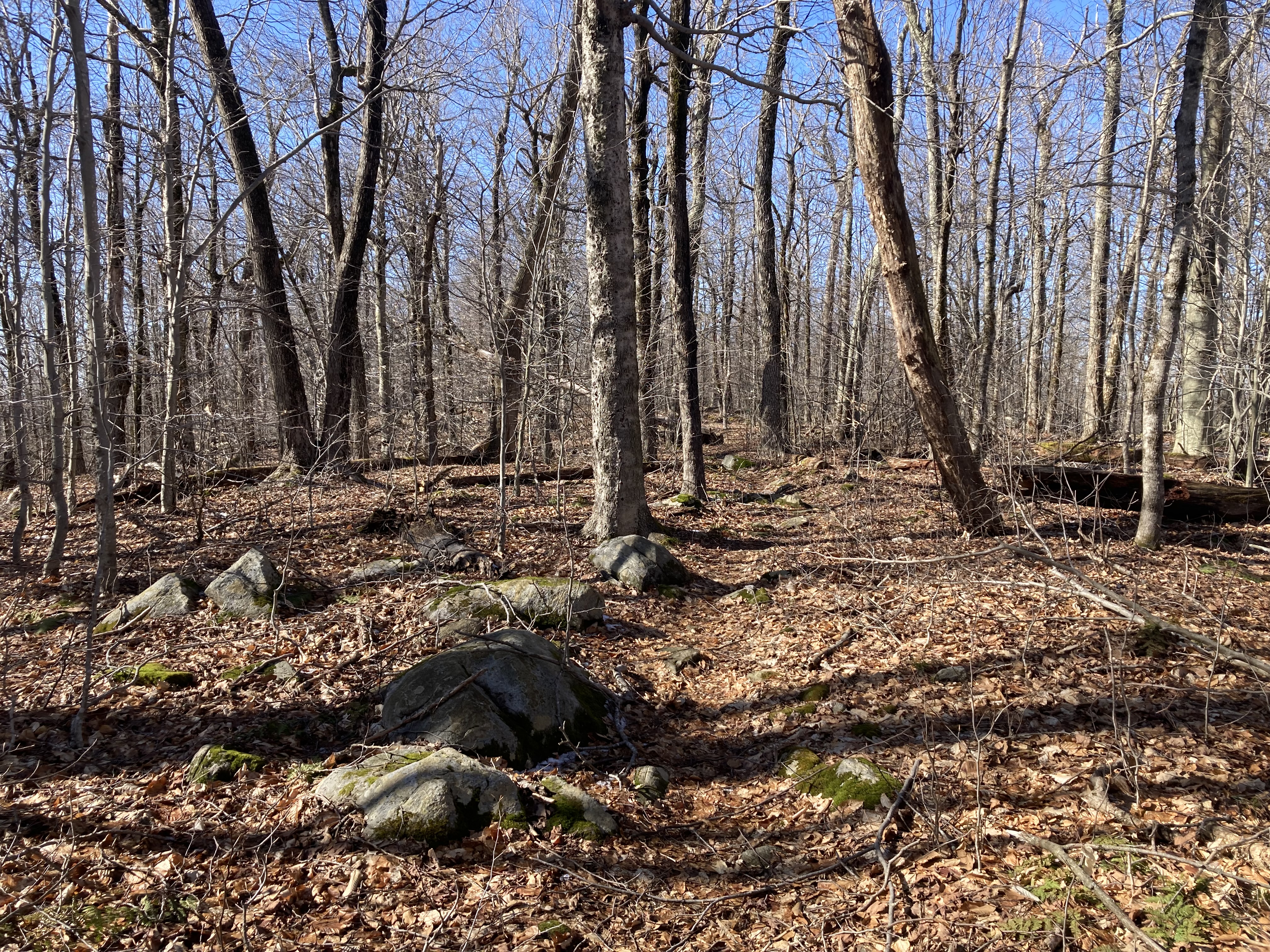 Walling Mountain – Hiking Massachusetts Peaks