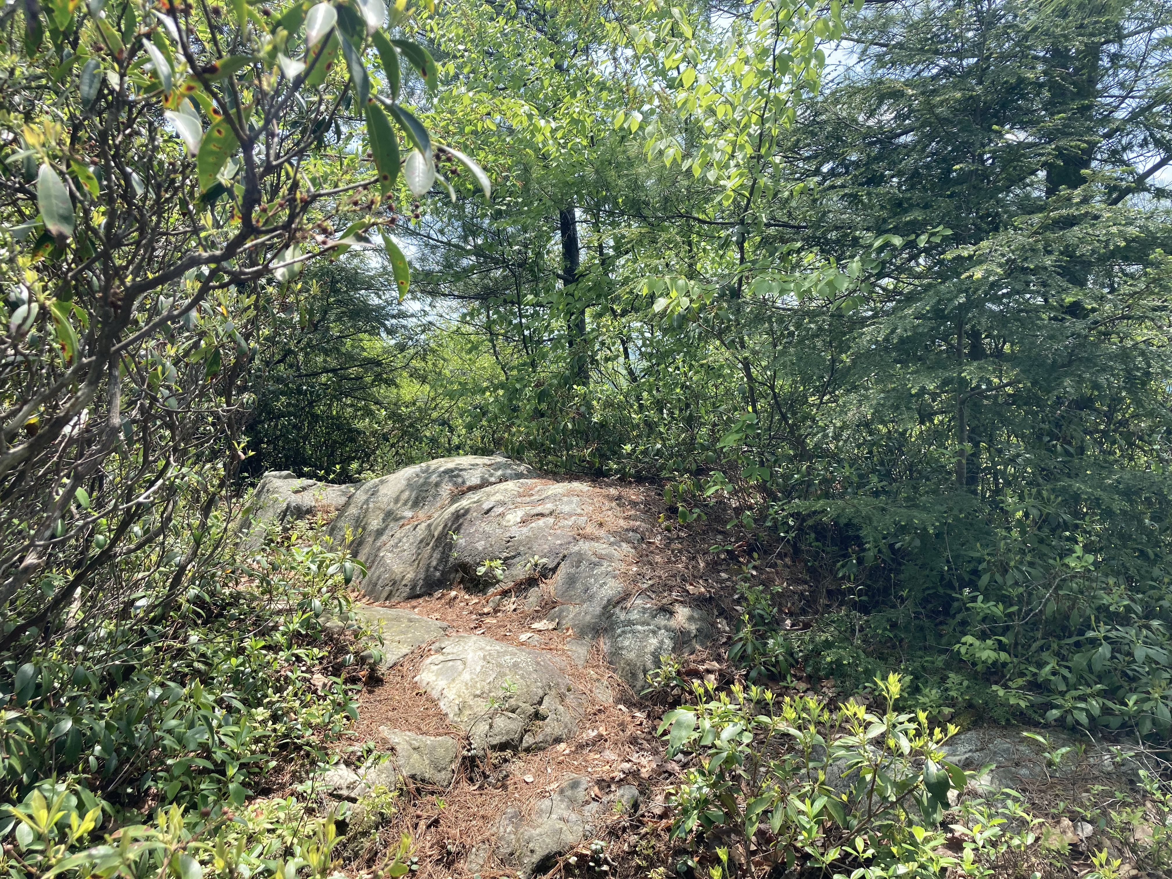 Hunger Mountain – Hiking Massachusetts Peaks