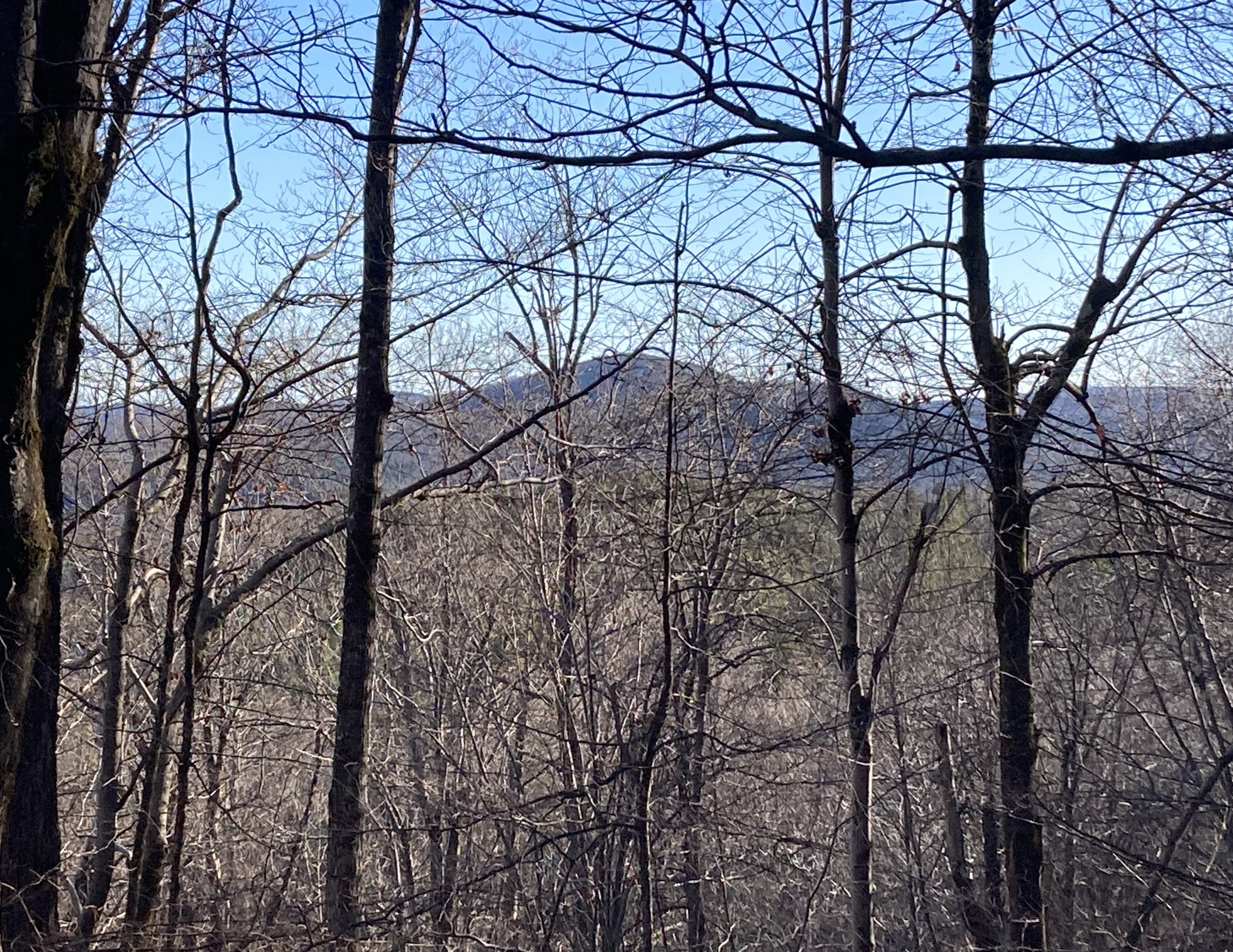 Round Top Hill – Hiking Massachusetts Peaks
