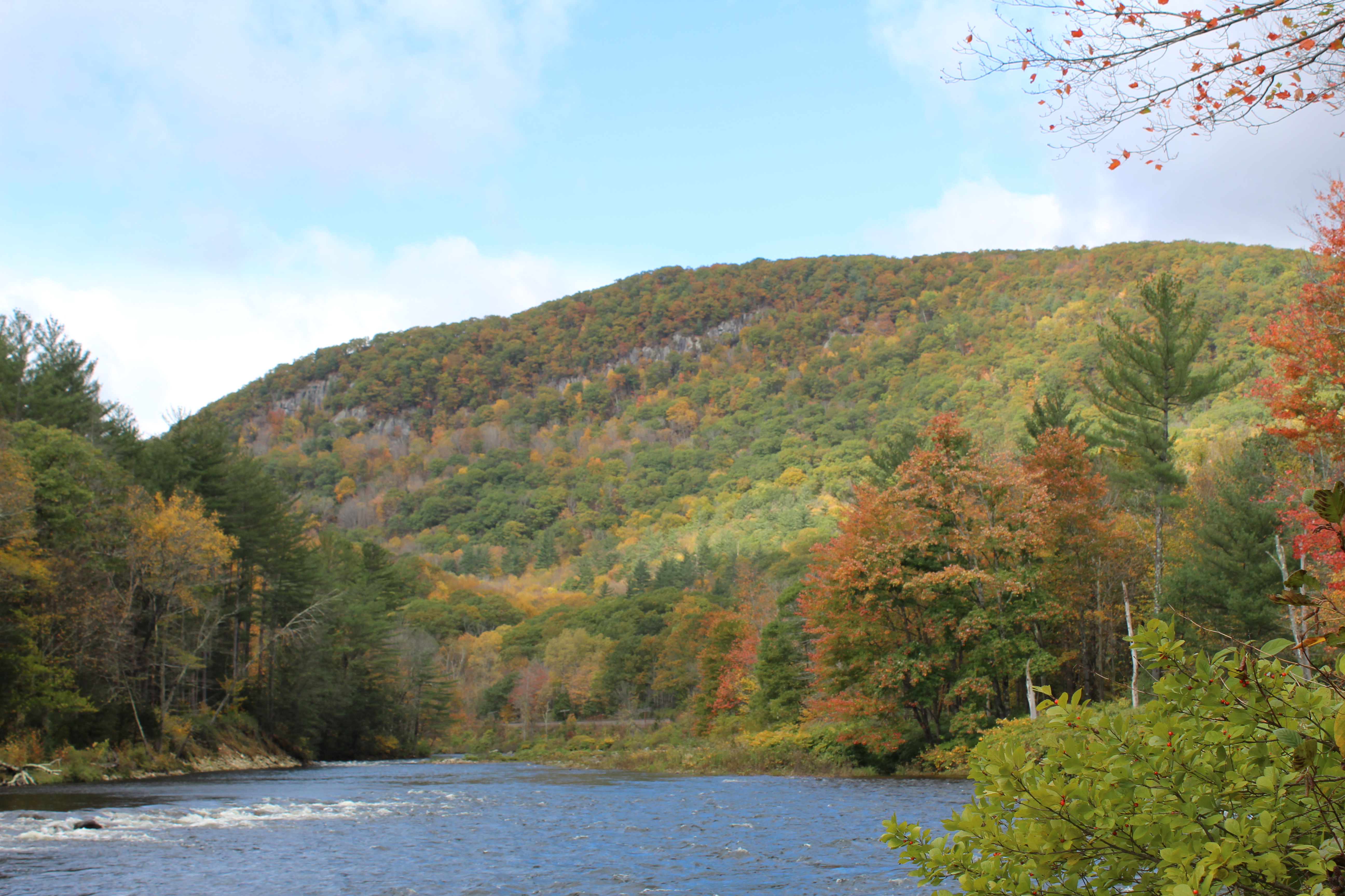 Negus Mountain – Hiking Massachusetts Peaks