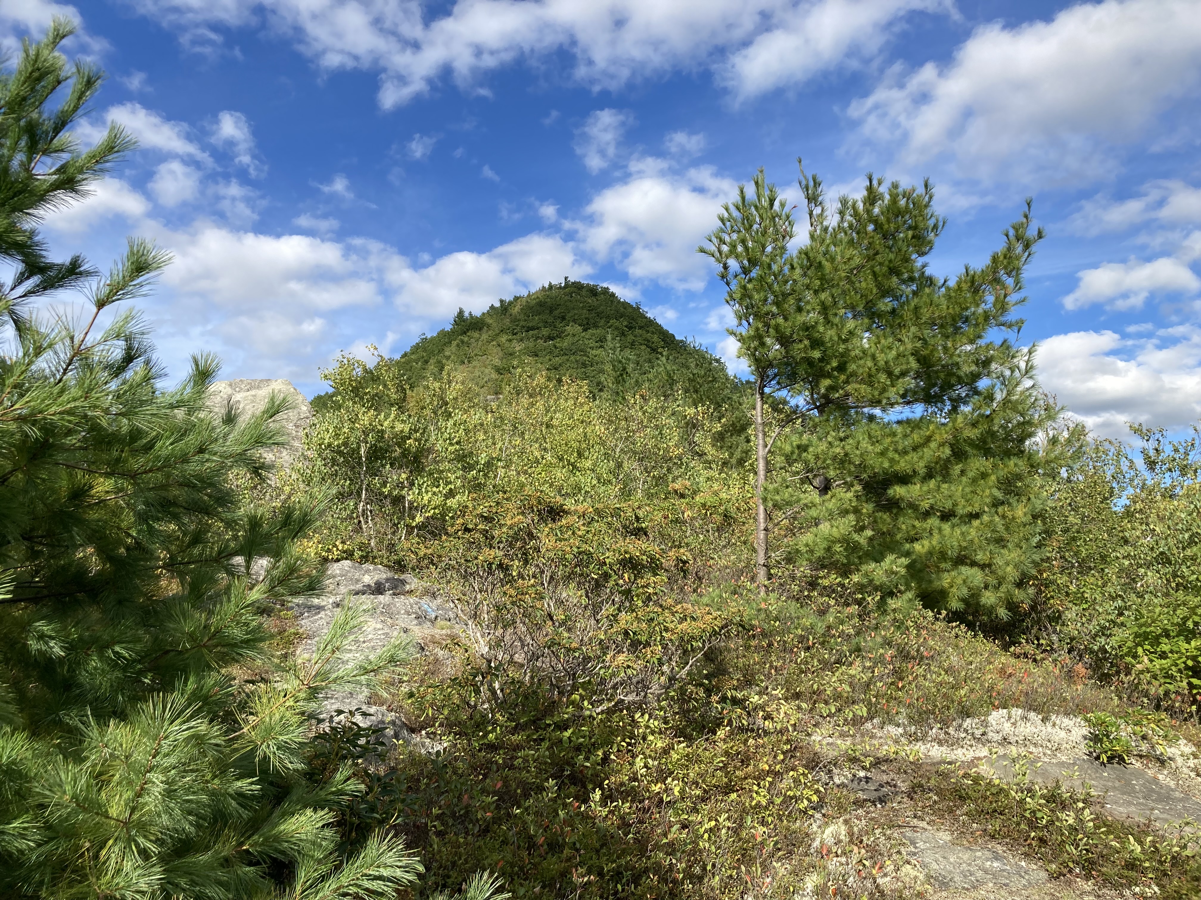 Negus Mountain – Hiking Massachusetts Peaks