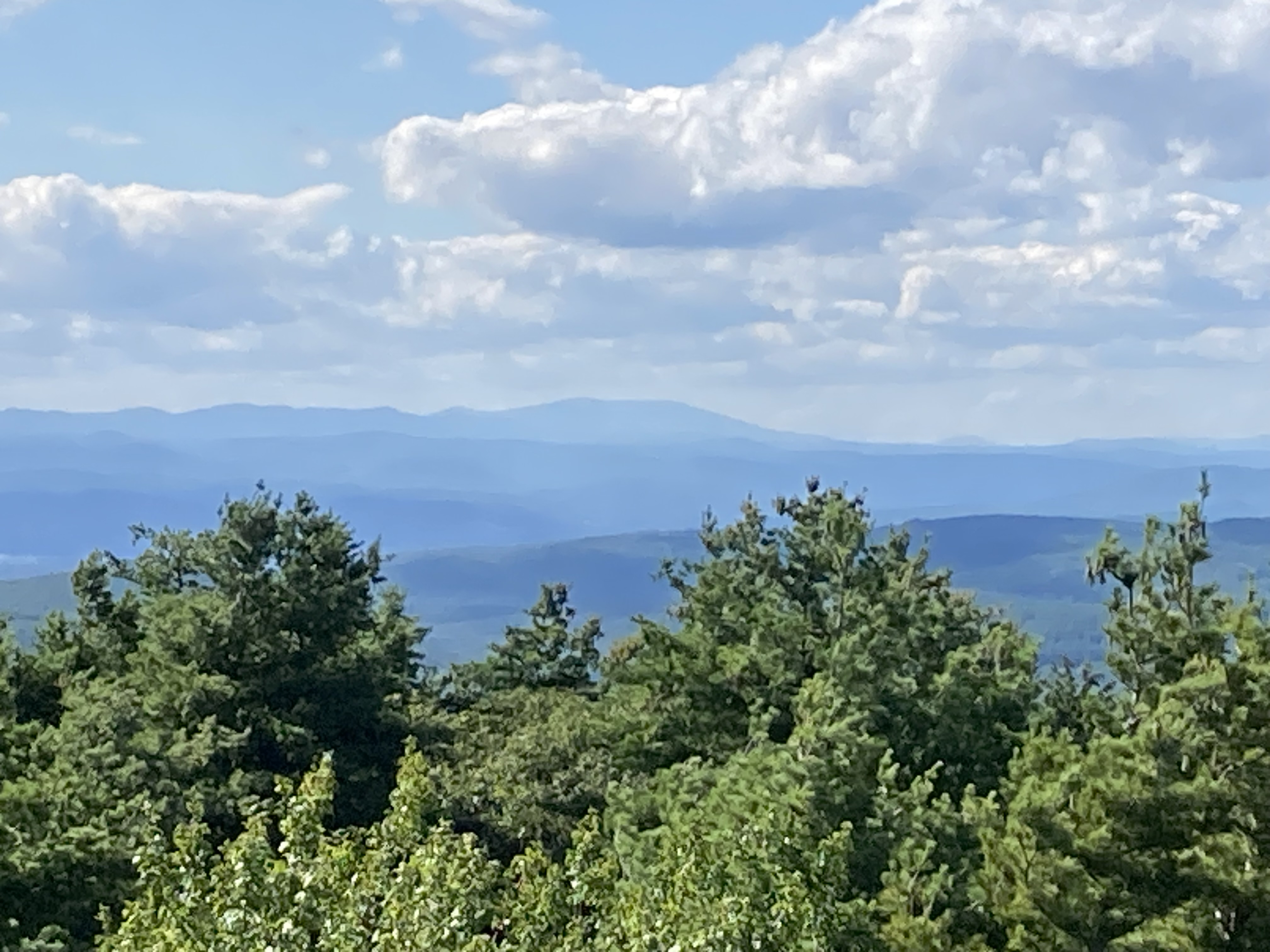 Mount Grace – Hiking Massachusetts Peaks