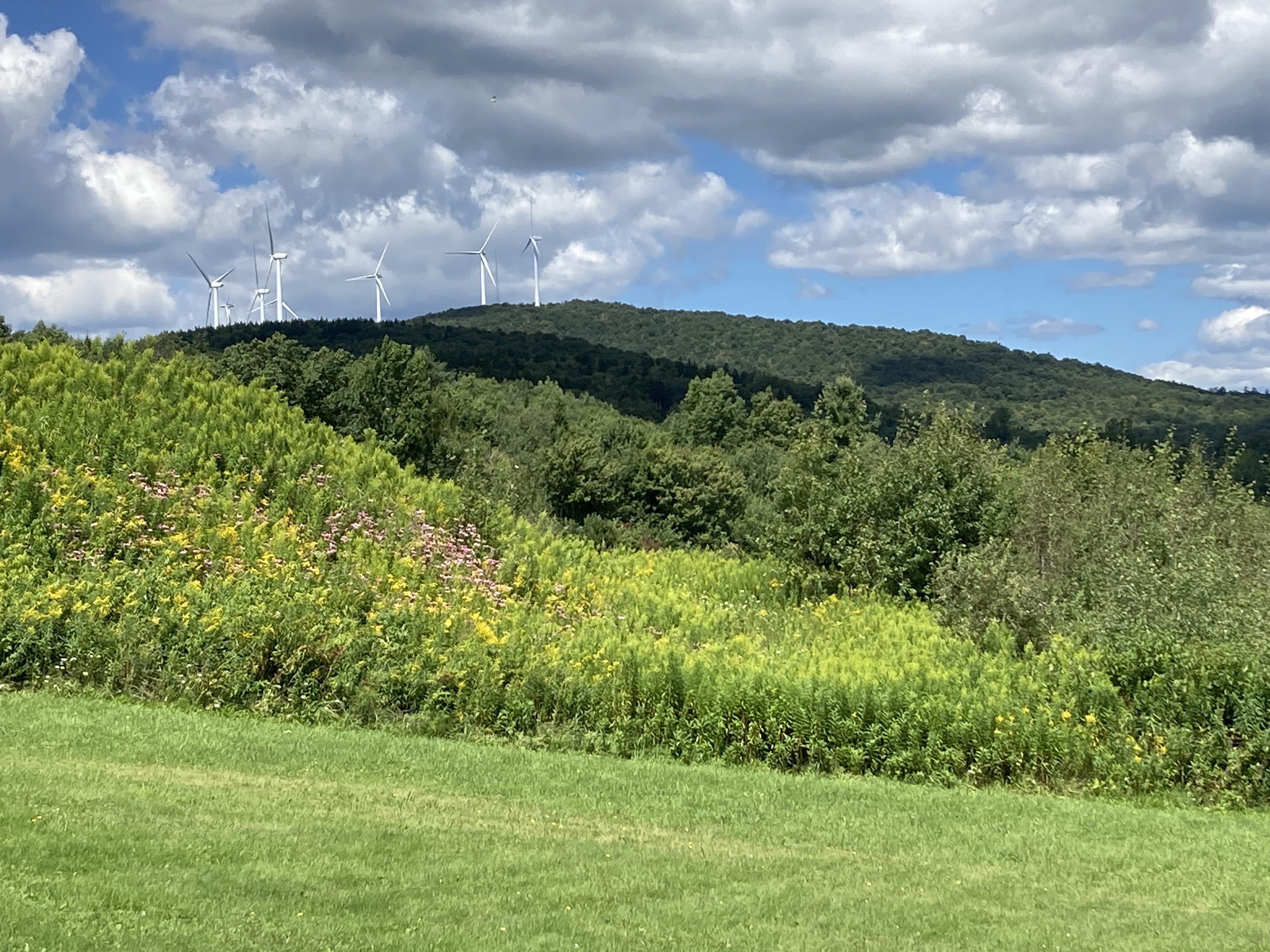 Massachusetts County Highest Peaks – Hiking Massachusetts Peaks