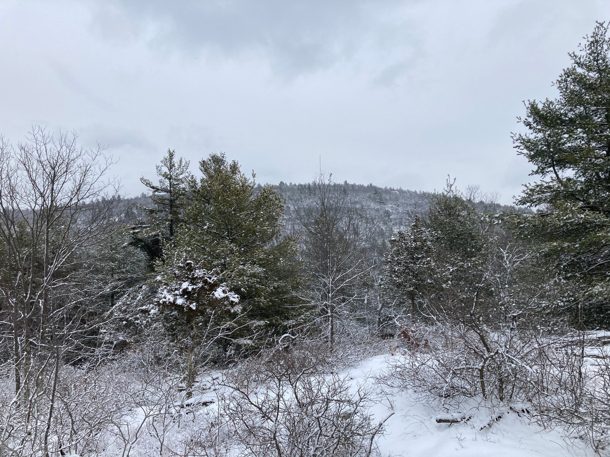 Massachusetts County Highest Peaks – Hiking Massachusetts Peaks