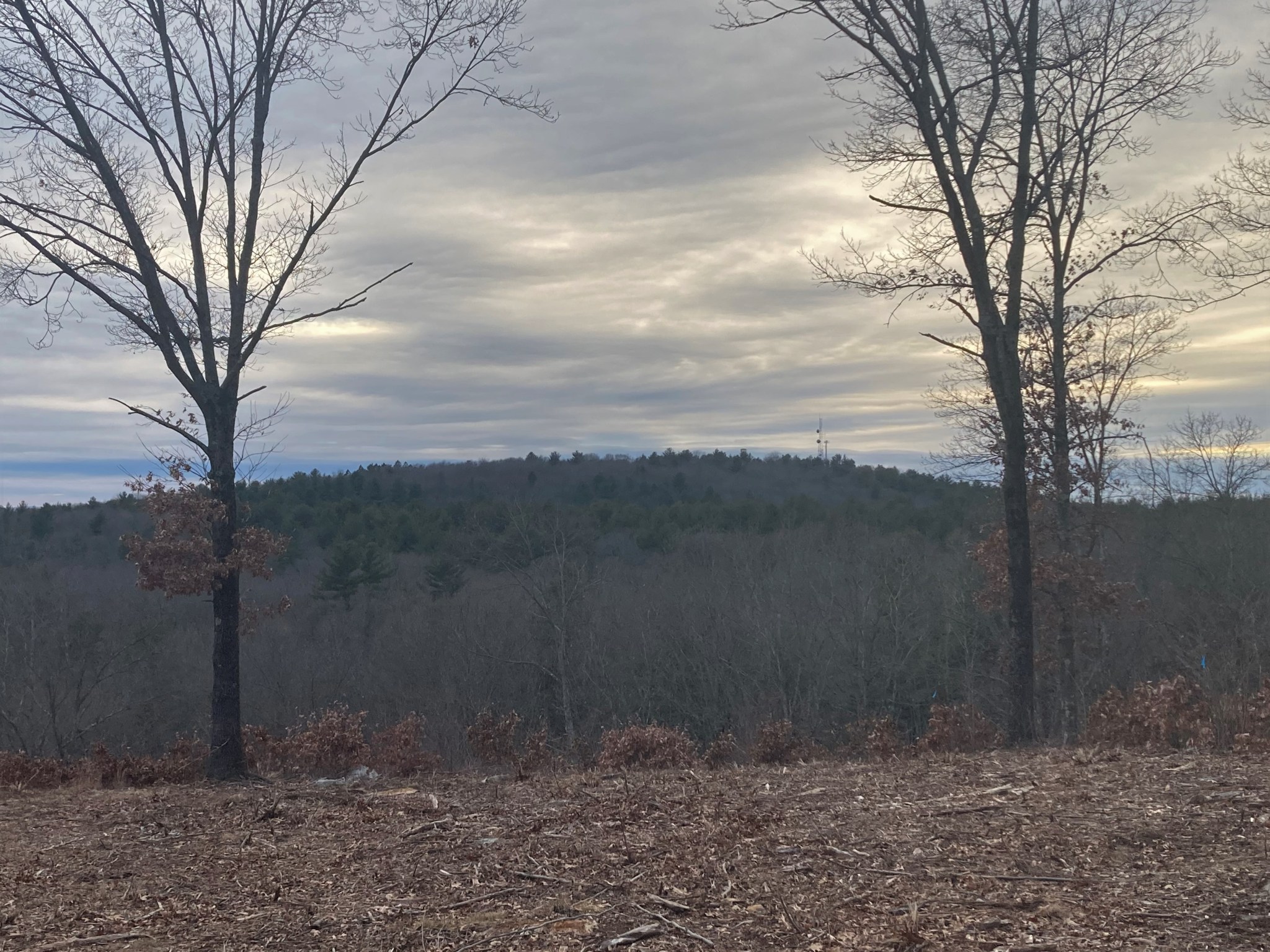 Massachusetts County Highest Peaks – Hiking Massachusetts Peaks