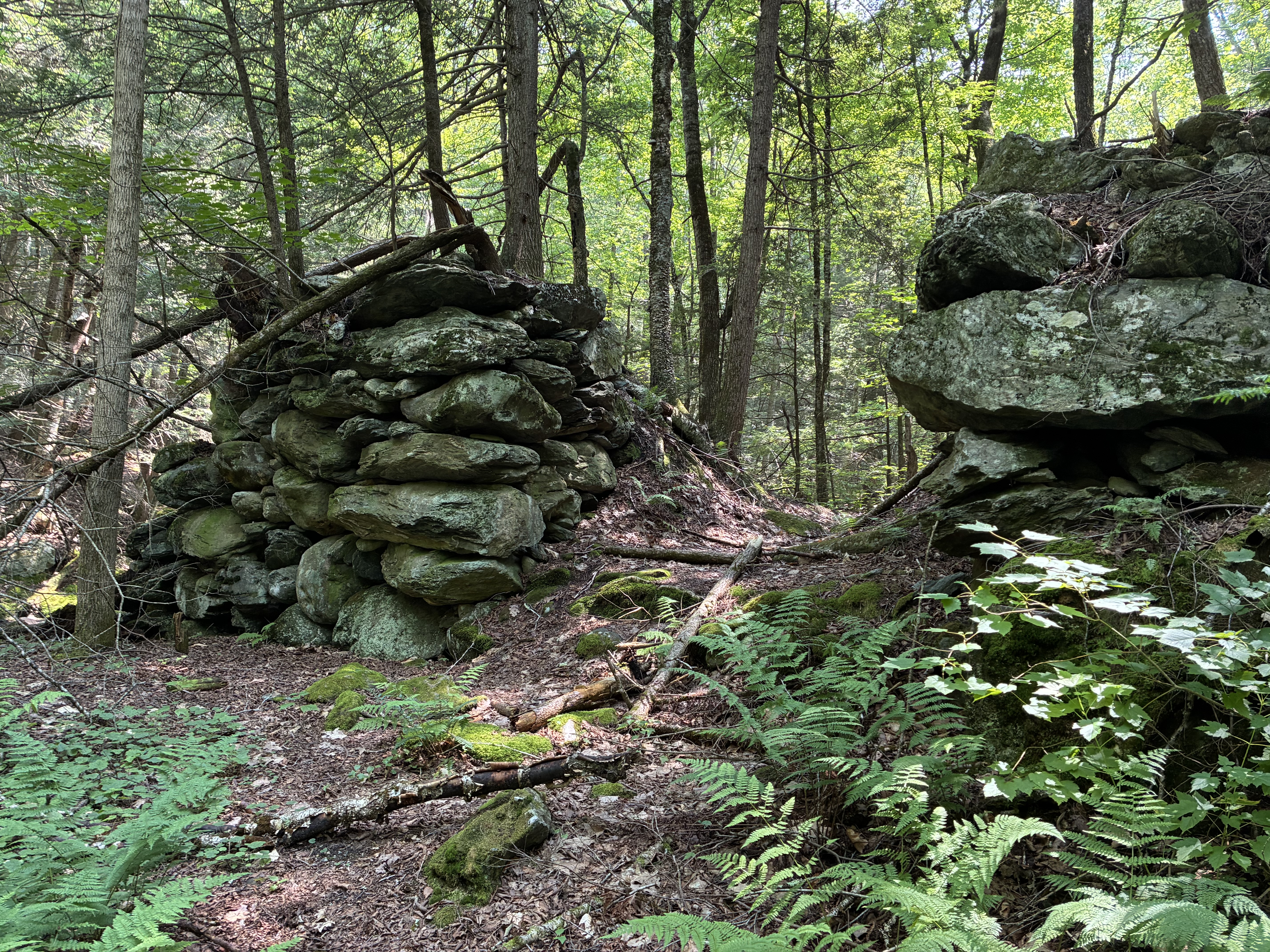 Alander Mountain – Hiking Massachusetts Peaks